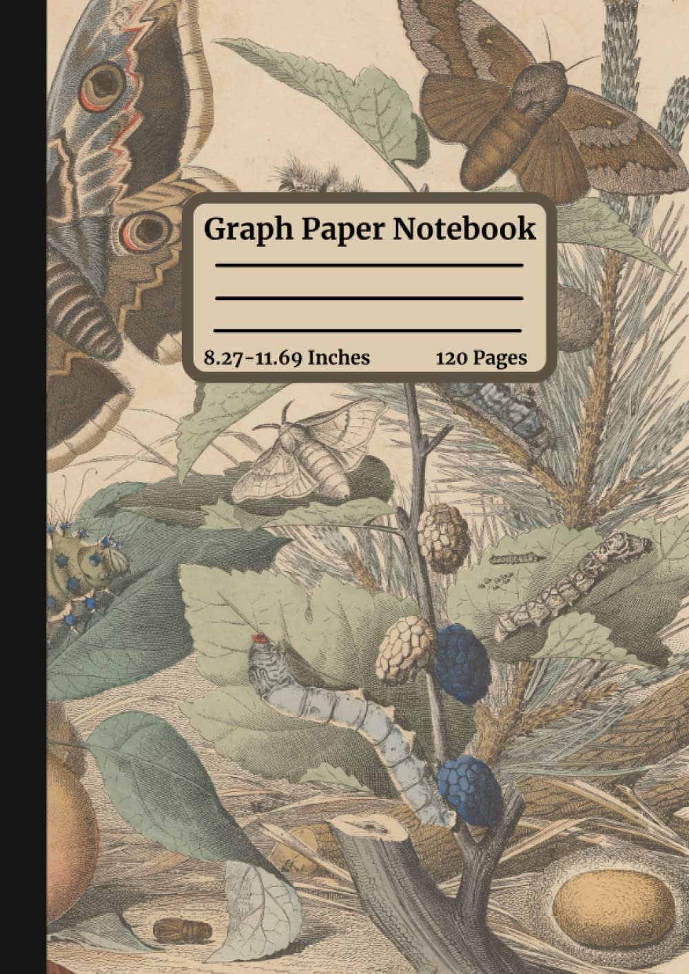 Graph Paper Notebooks - Gold Touch Publishing LLC
